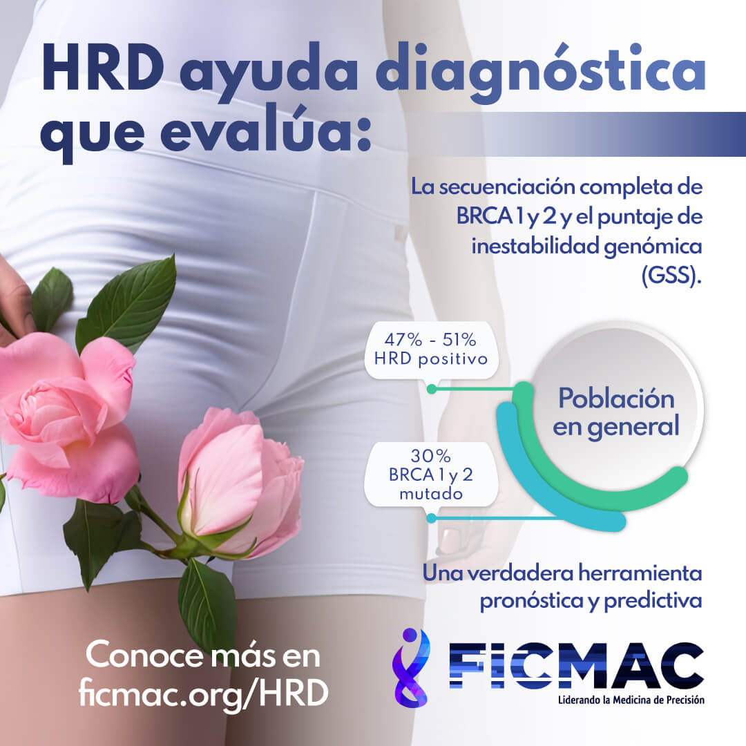 Prueba HRD - FICMAC